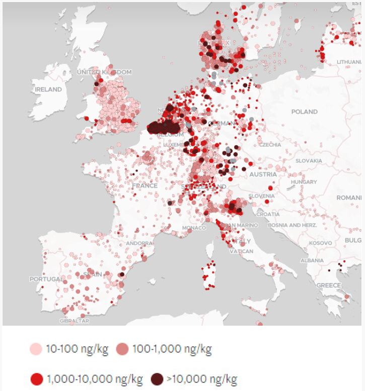 Forever chemicals: in everything everywhere